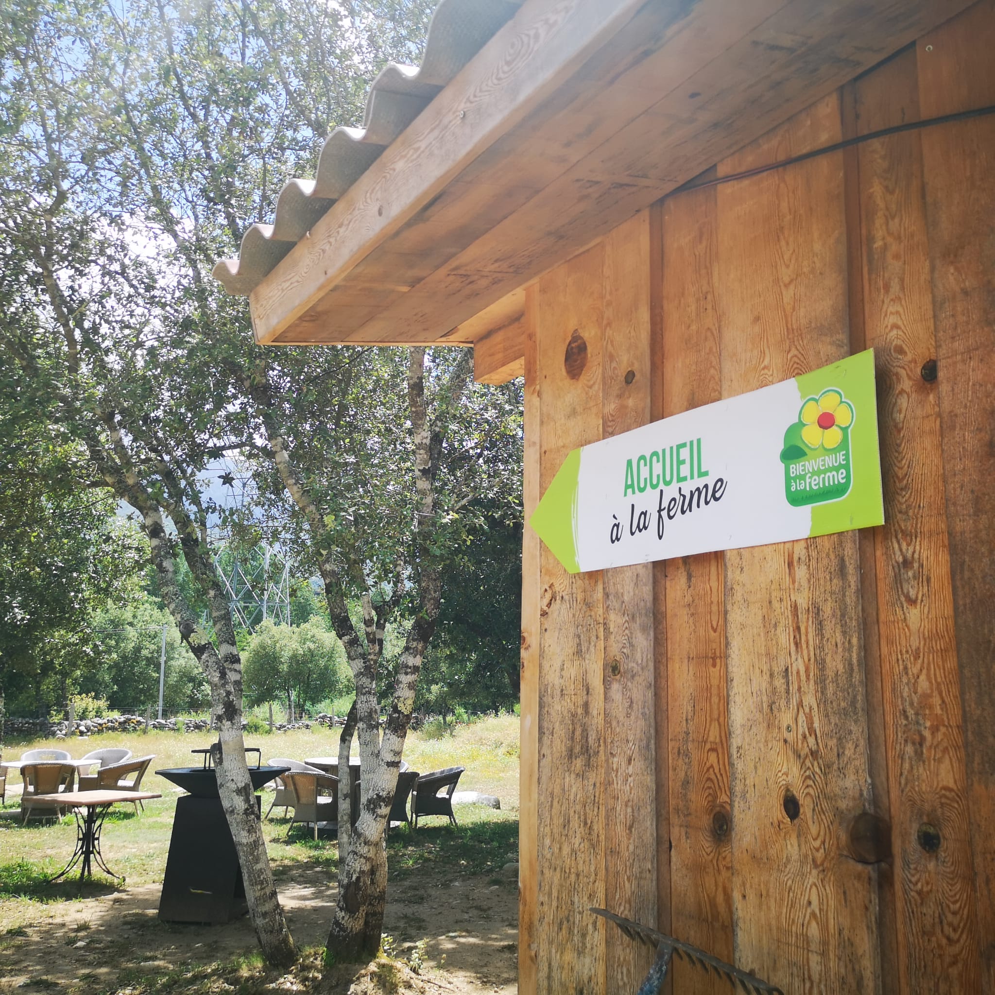 Le Domaine - Domaine de L'Alba Scelta